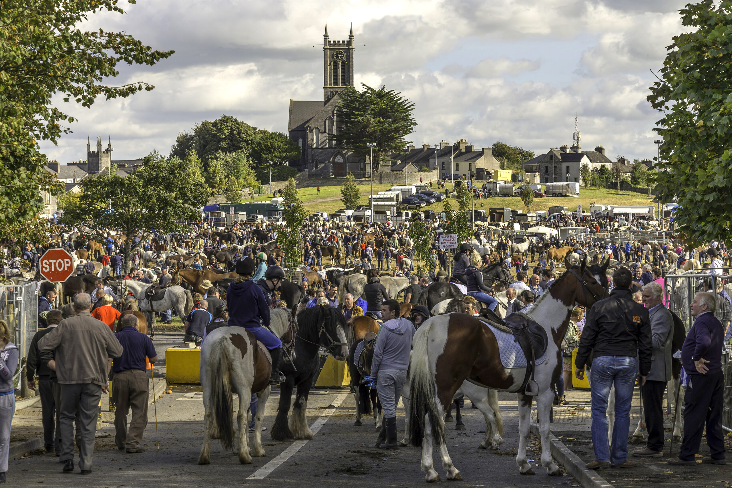 Ballinasloe International Horse Fair 2026 | Irish Festival